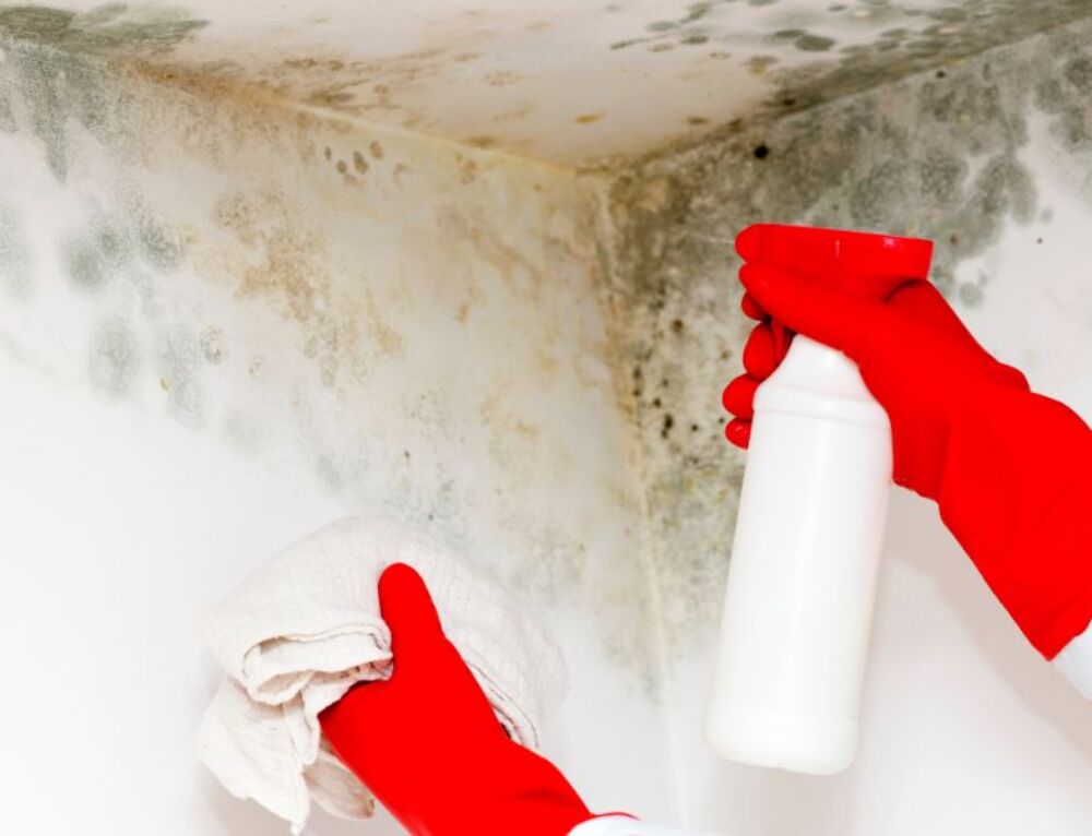 Cómo el limpiar suelo de gres rugoso: productos y consejos